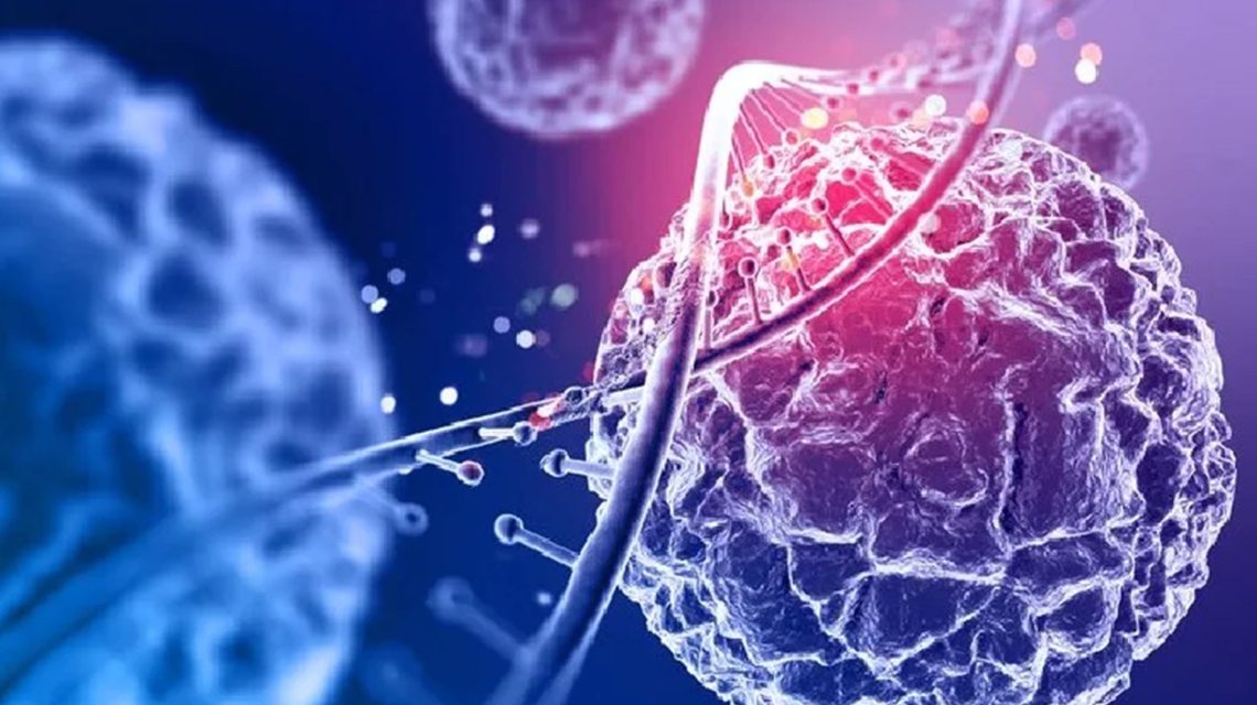 What is Stem Cell? – https://regenmediterra.com